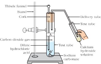 Logical Class | Home