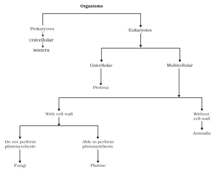 Logical Class | Home