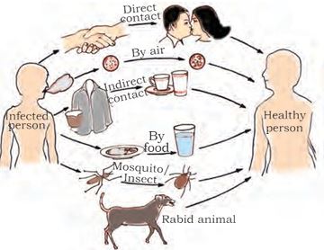 Logical Class | Home