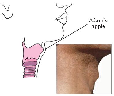 Logical Class | Home