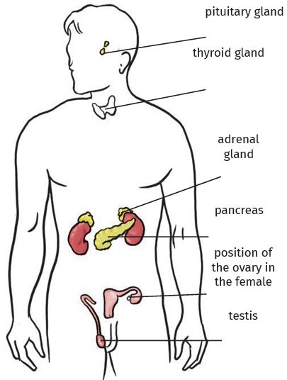 Logical Class | Home